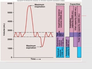 Pulmonary Ventilation Volumes