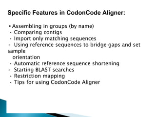 Codon Code | PPT