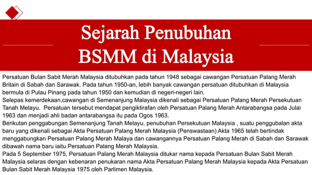 BSMM.pdf