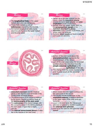 The Digestive System | PDF