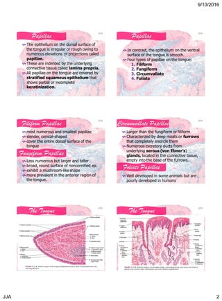 The Digestive System | PDF