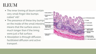 BSN1-N GROUP 6.pdf