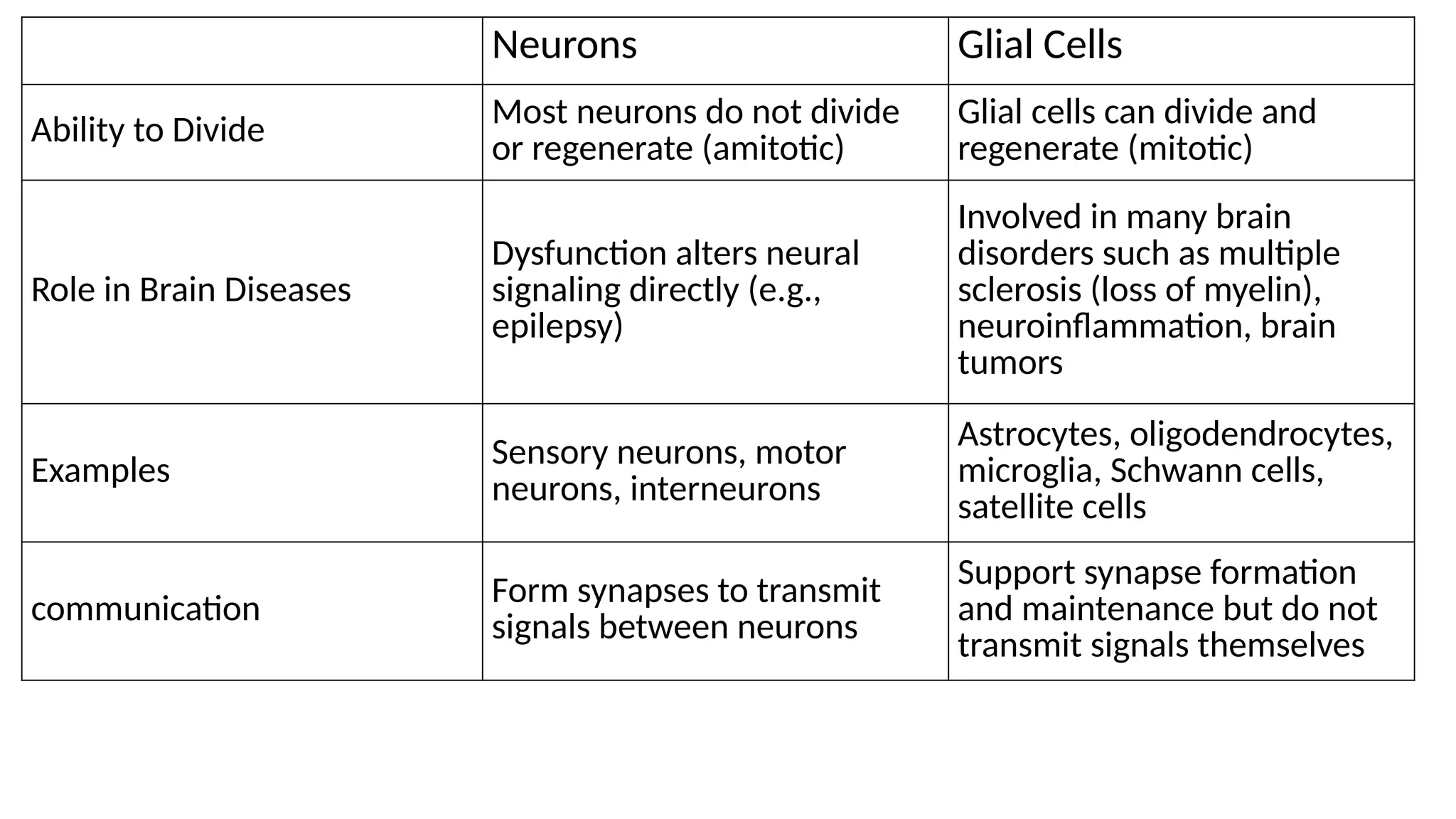structure and function of nervous system | PPTX