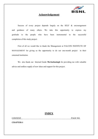 Bsnl project........ | DOCX