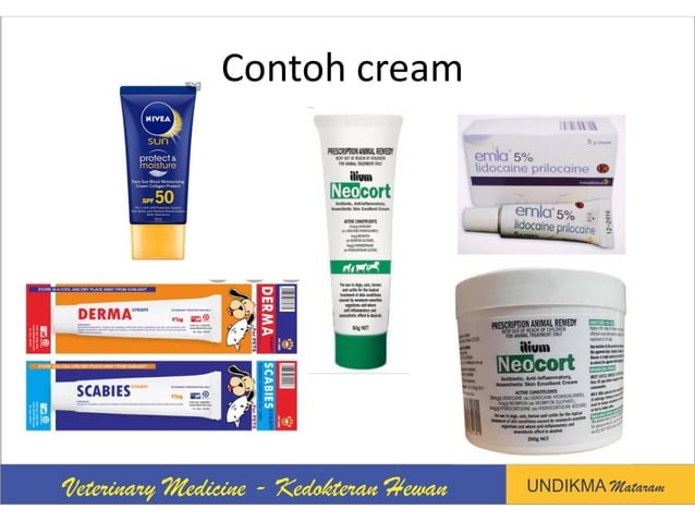 bentuk sediaan obat setengah padat veteriner | PPT