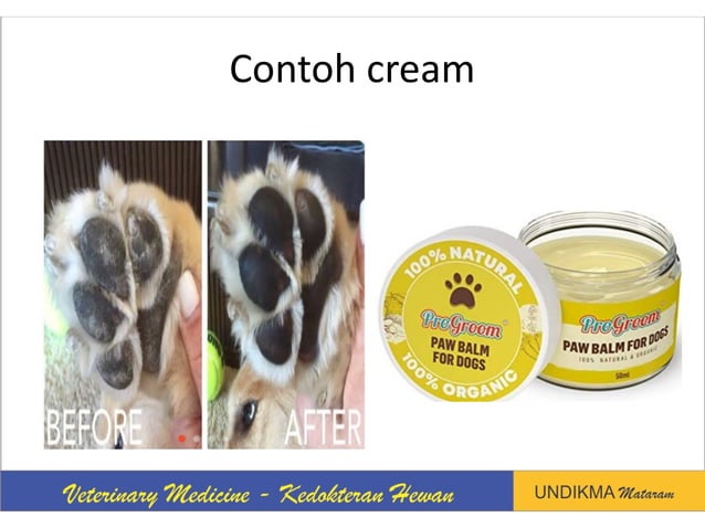 bentuk sediaan obat setengah padat veteriner | PPT