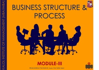 BUSINESS STRUCTURE AND PROCESS MODULE-3 GTU | PDF