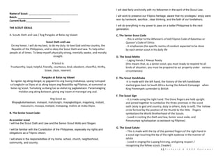 BSP-REVIEWER-2020 for Eagle scout review | PDF