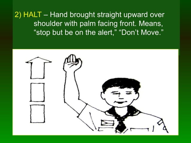 BSP Basic Training Course Troop-Outfit.ppt | Stamps and Coins | Collecting