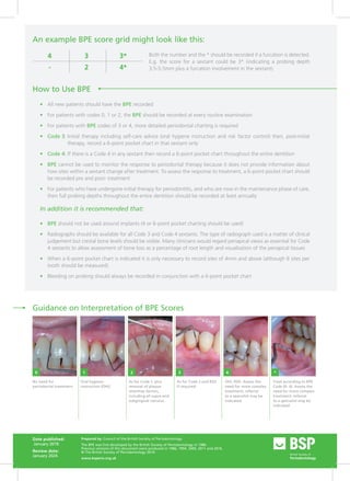 Bsp bpe guidelines_2019 | PDF