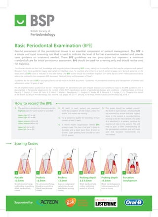 Bsp bpe guidelines_2019 | PDF