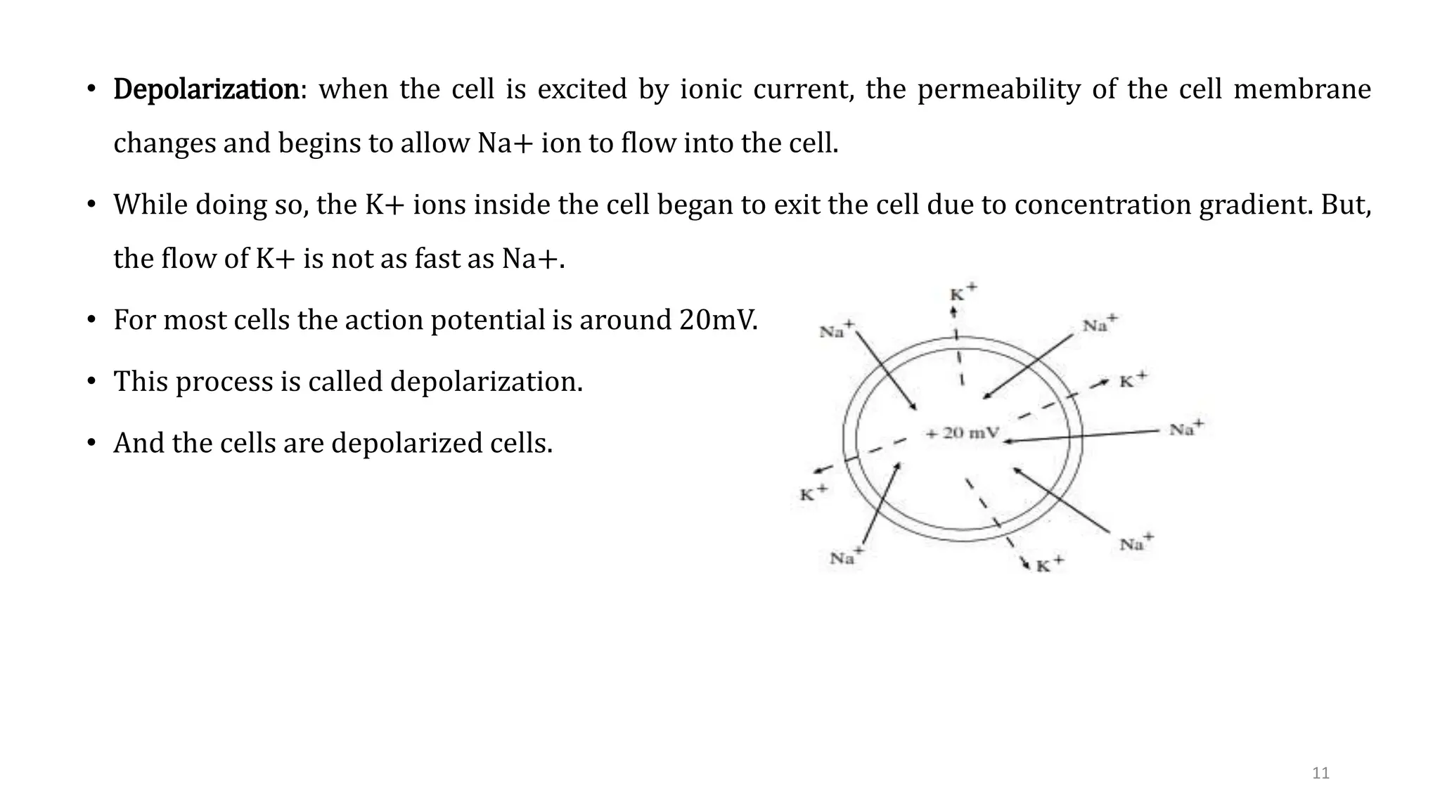 Biomedical Signals Processing Fundamentals Ppt 