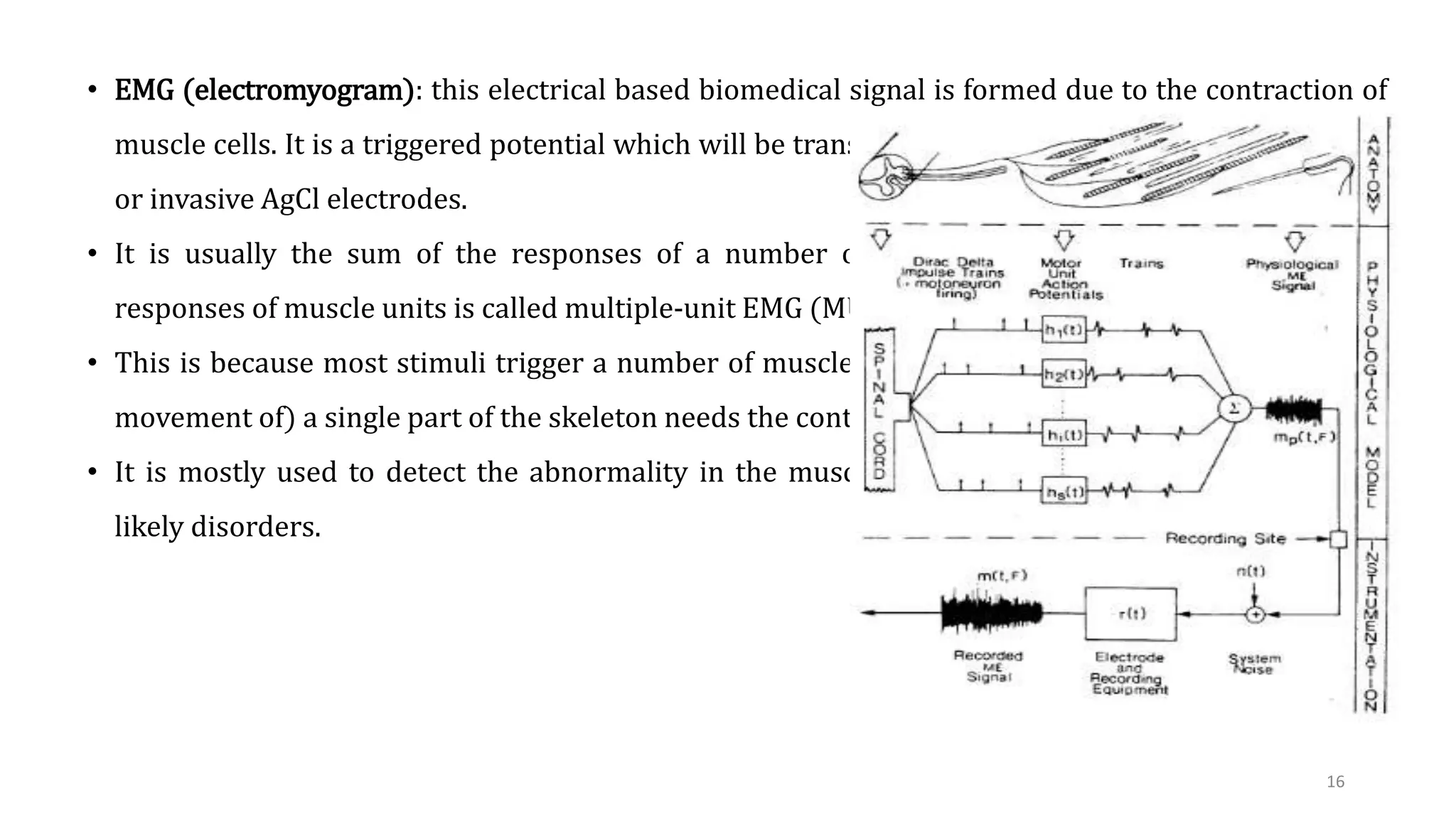 biomedical signals processing fundamentals | PPTX | Heart and Cardiovascular Diseases | Diseases ...