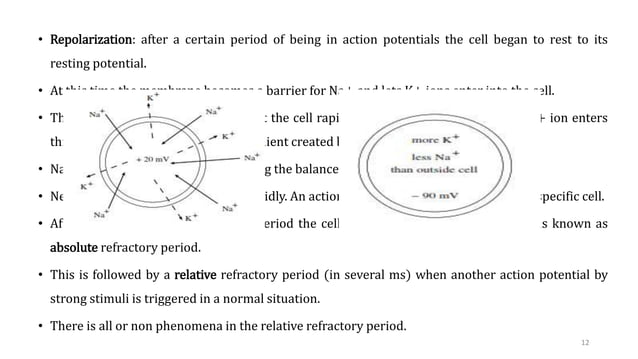 biomedical signals processing fundamentals | PPTX | Heart and ...