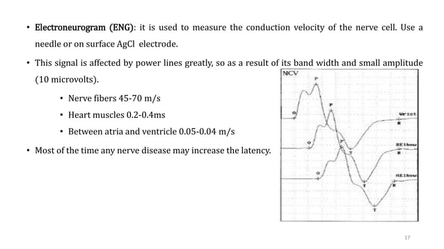 biomedical signals processing fundamentals | PPTX | Heart and ...