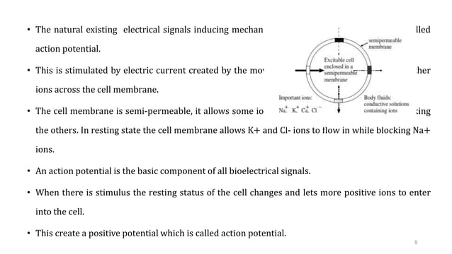 biomedical signals processing fundamentals | PPTX | Heart and ...