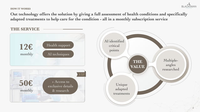 BSPG_Investor Presentation.pdf