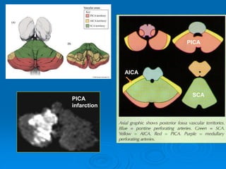 BS Phan Châu Hà - Giải phẫu MRI Sọ Não.pdf
