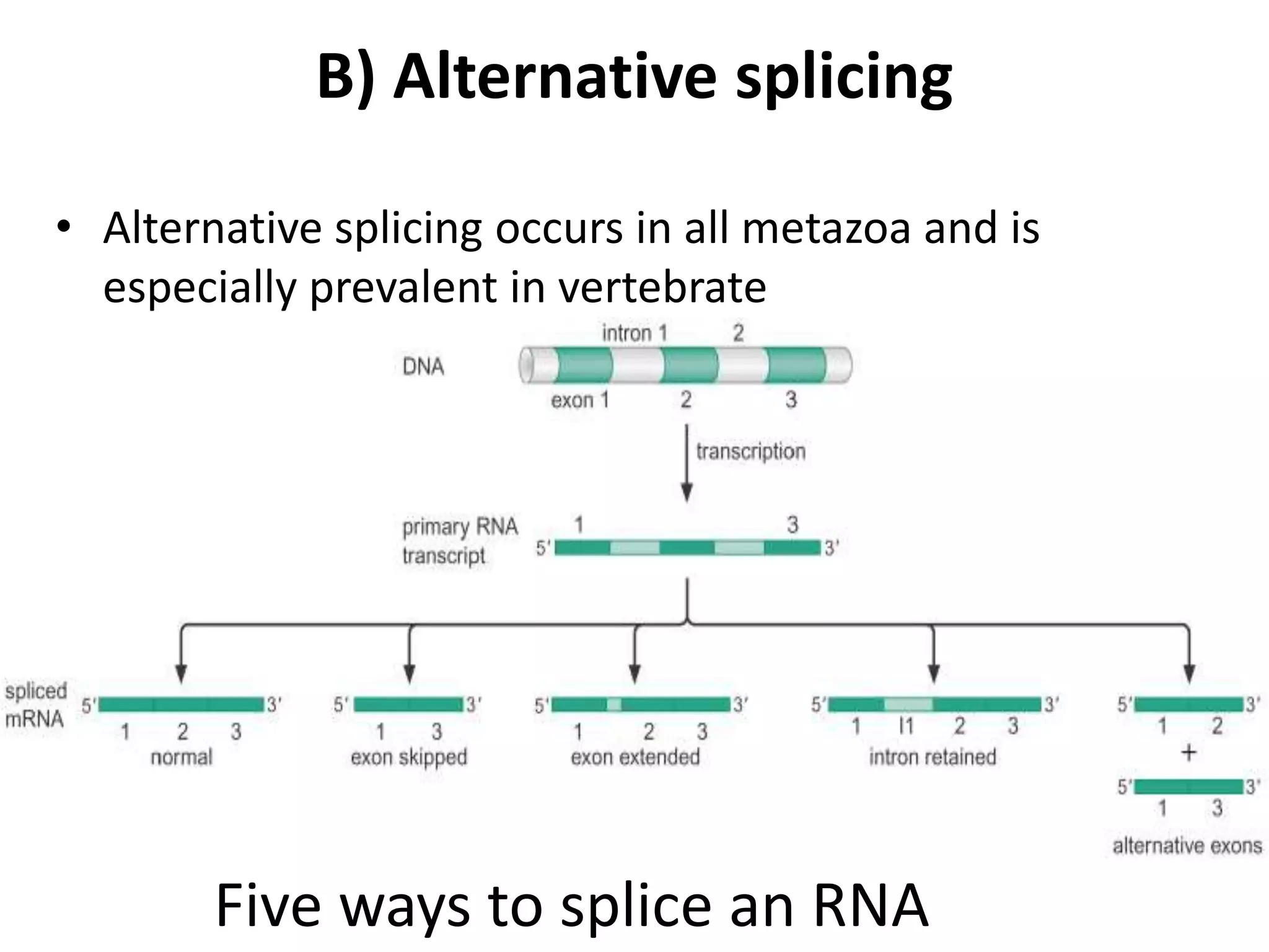 RNA splicing..... | PPTX