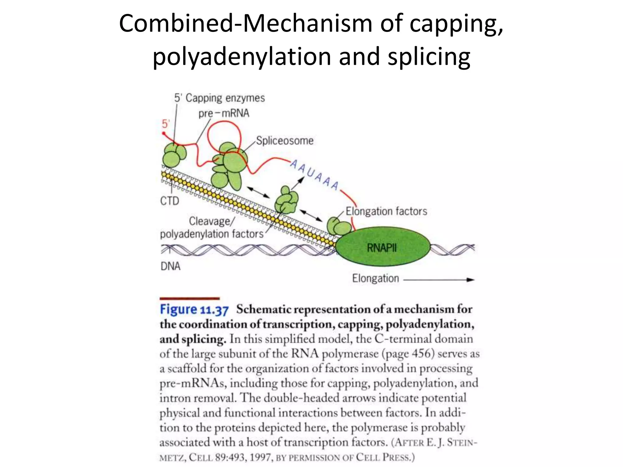 RNA splicing..... | PPTX
