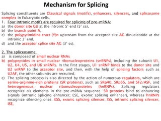 RNA splicing..... | PPT