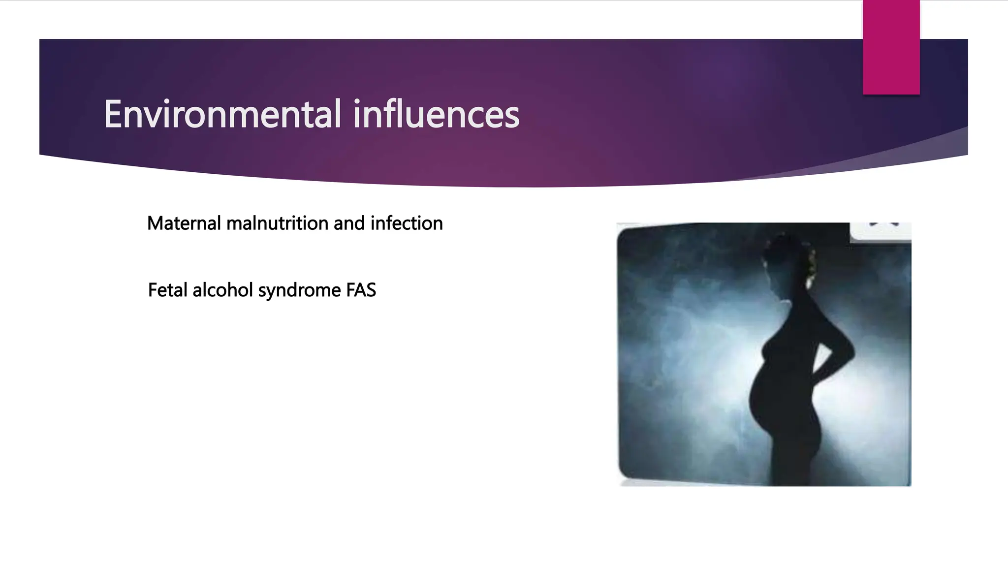 BS PRESENTATION.pptx all concept about disabilities | PPT