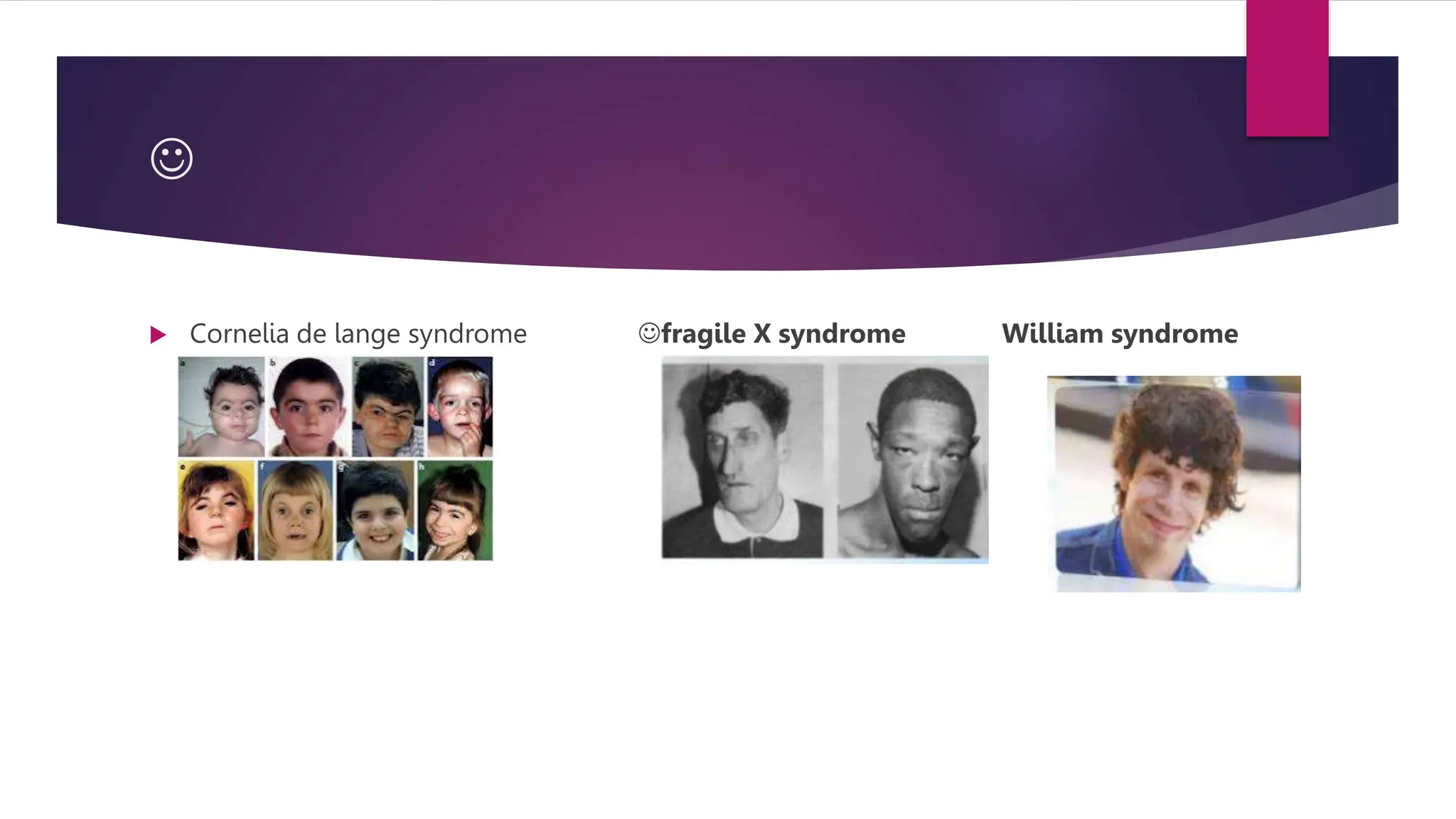 BS PRESENTATION.pptx all concept about disabilities | PPT