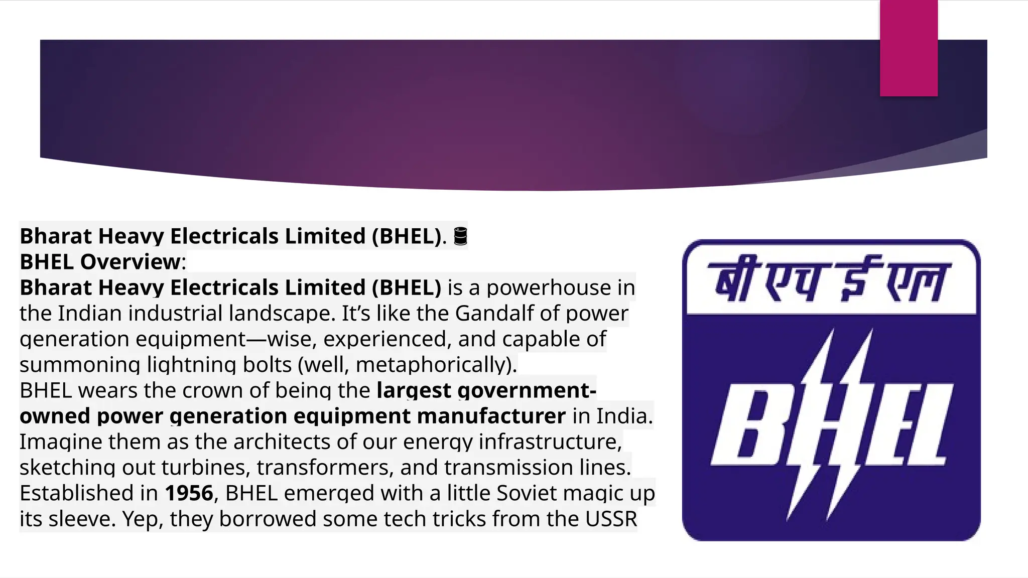 bs project on public and private companies.pptx