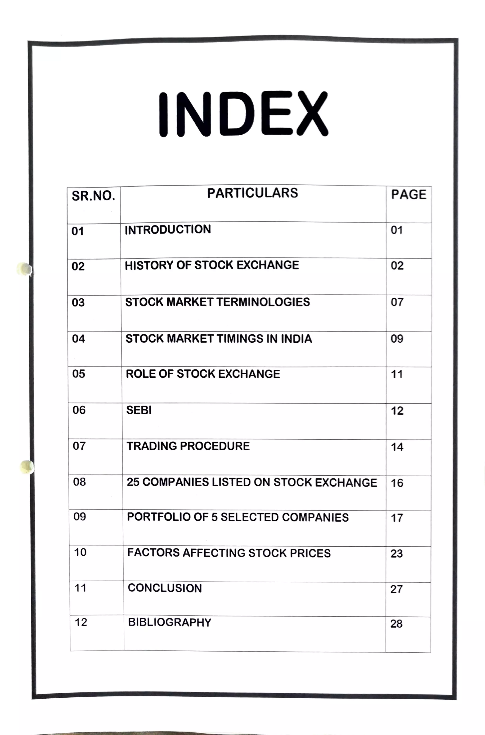 Business Studies Project on Stock Exchange | PDF