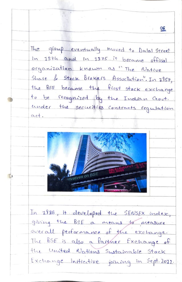 Business Studies Project on Stock Exchange | PDF