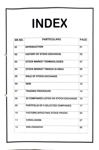 Business Studies Project on Stock Exchange | PDF