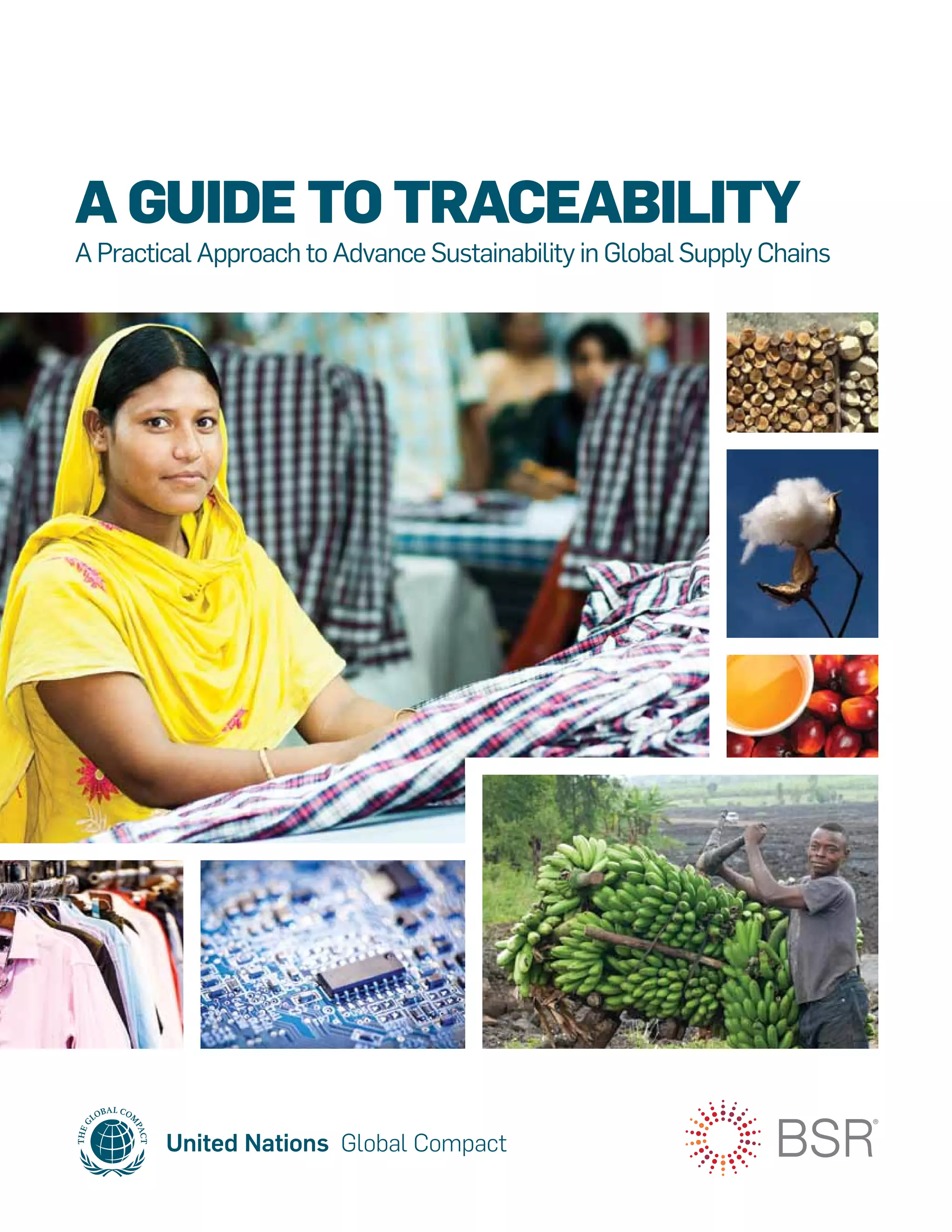 A Guide to traceAbility A Practical Approach to Advance Sustainability ...