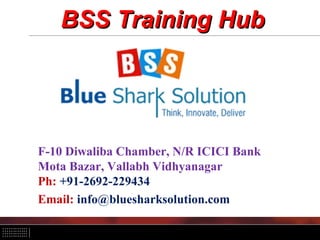 Bss training-h ub | PPT
