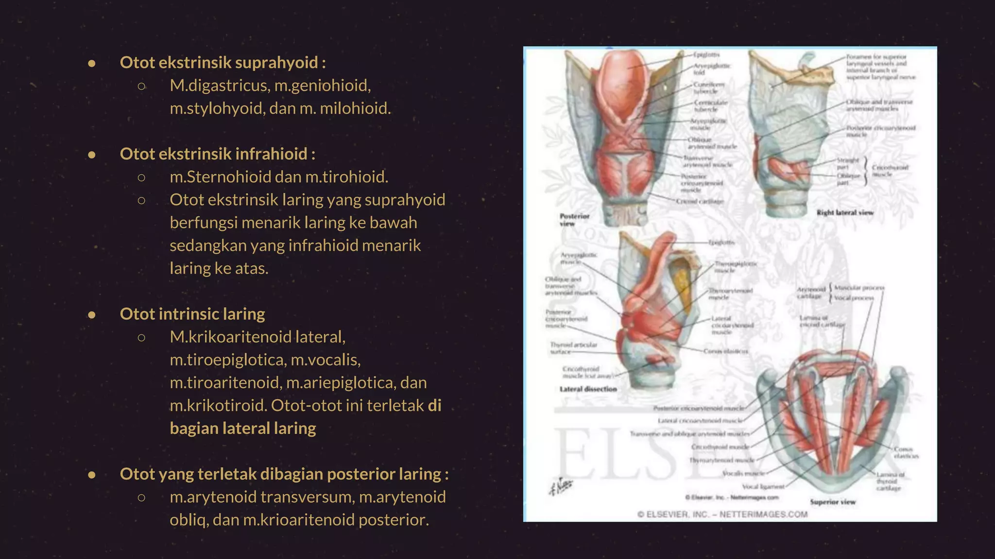 Laringitis Aku | PPTX