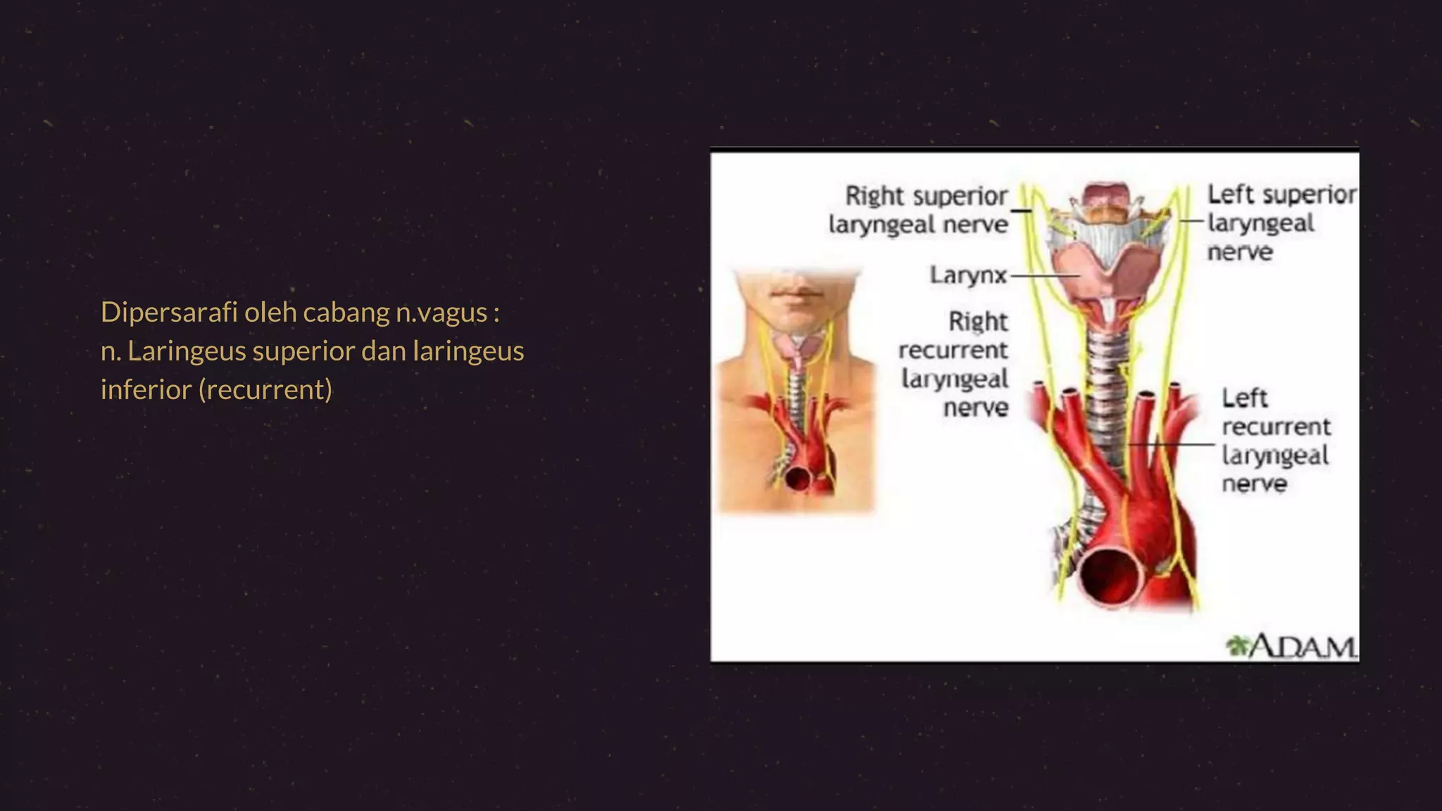 Laringitis Aku | PPTX