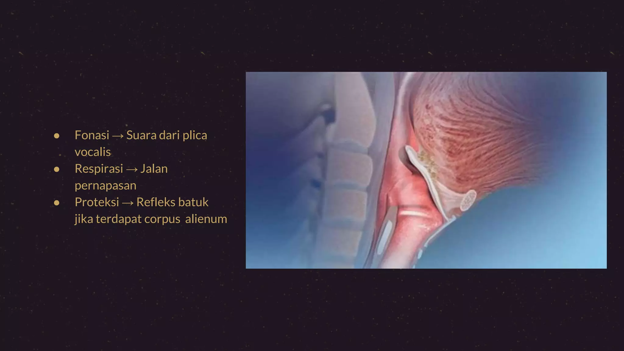 Laringitis Aku | PPTX