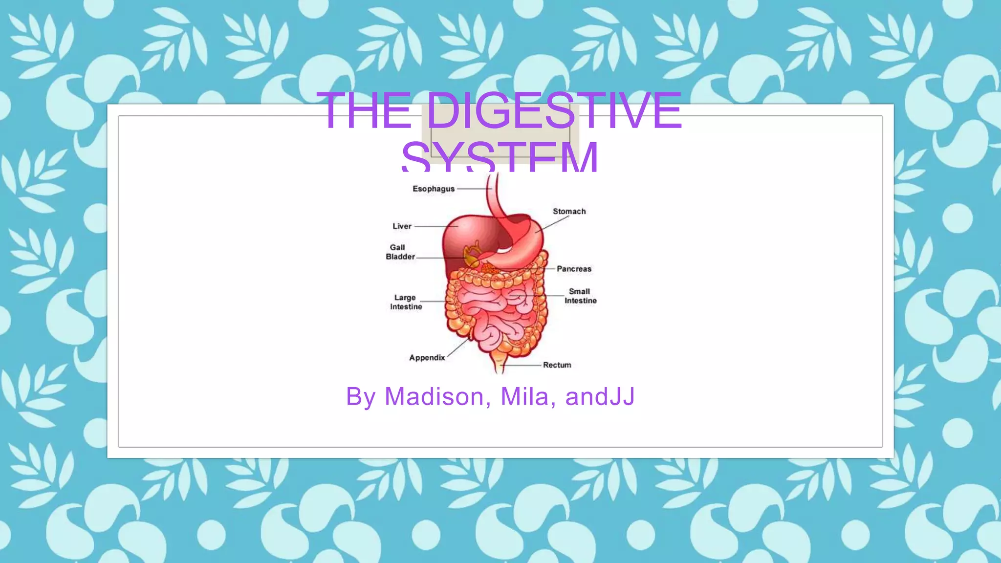 Human Body - Digestive System | PPTX | Chemistry | Science