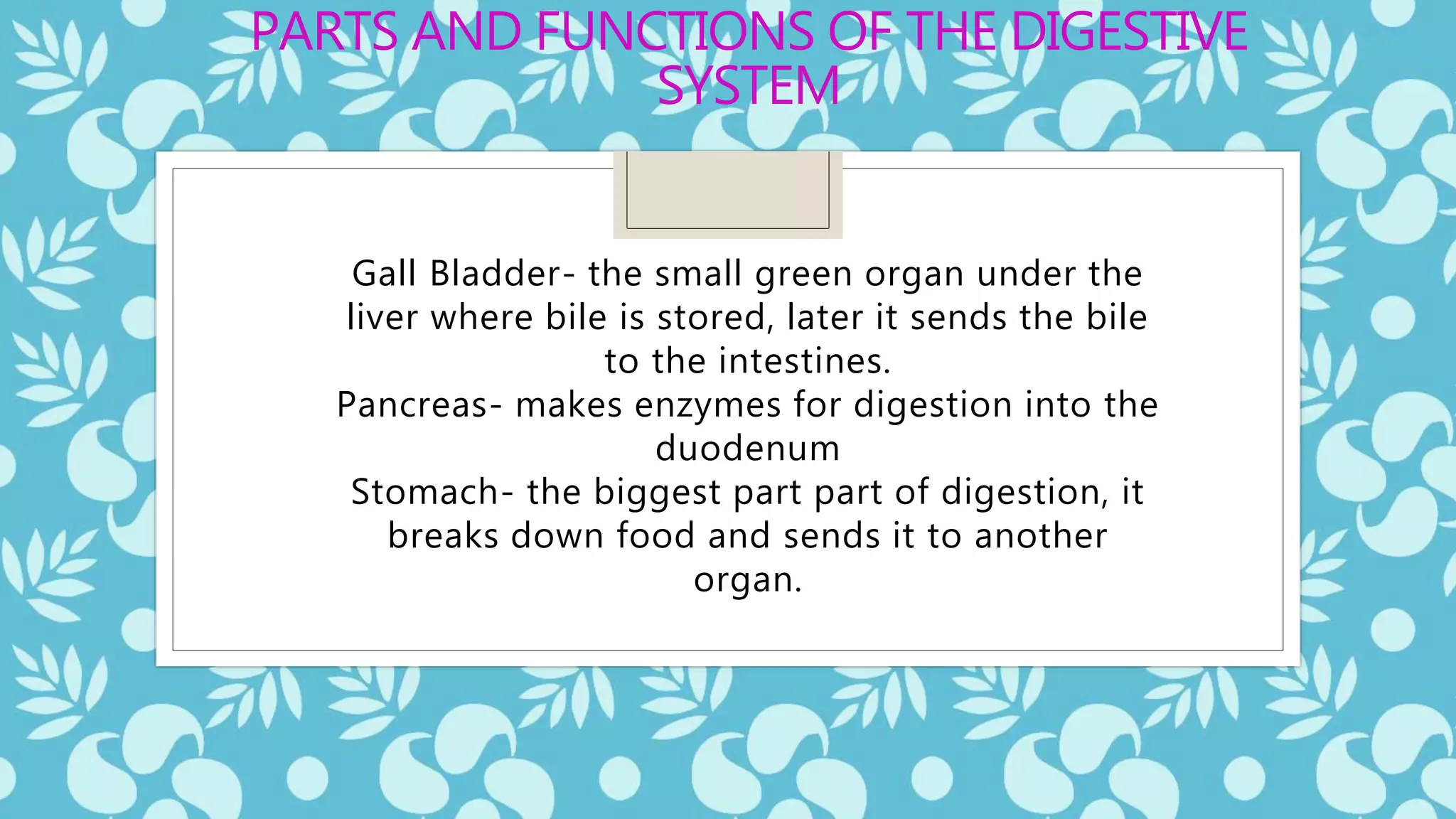 Human Body - Digestive System | PPTX