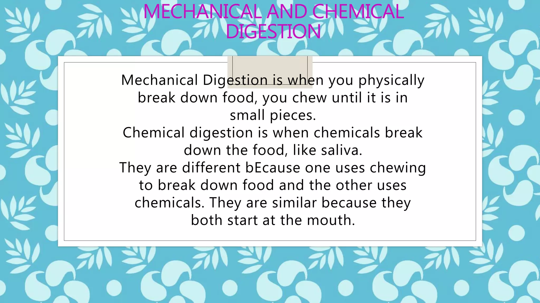 Human Body - Digestive System | PPTX | Chemistry | Science