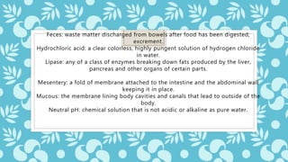 Human Body - Digestive System | PPTX | Chemistry | Science