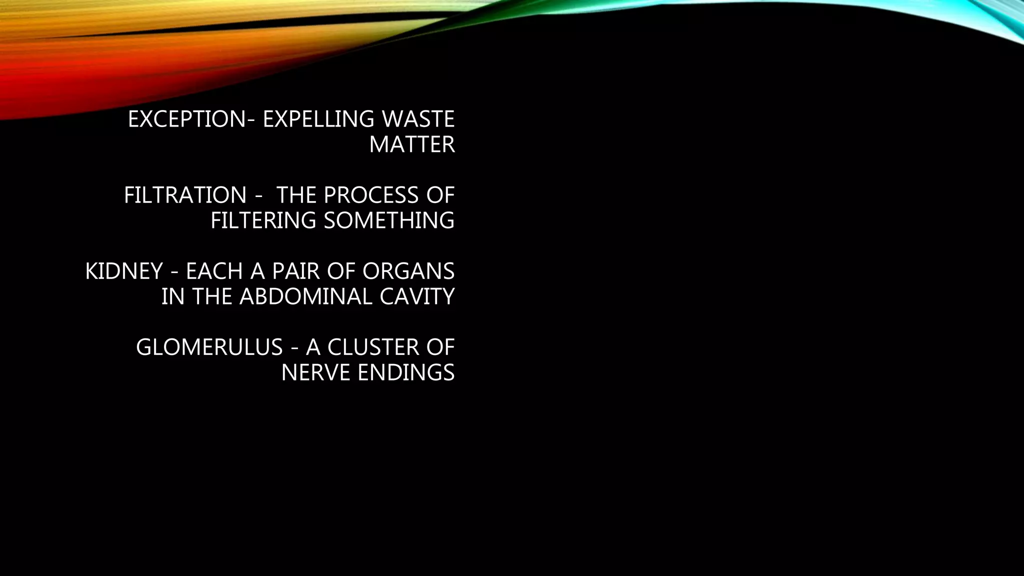 Human Body - Excretory System | PPT