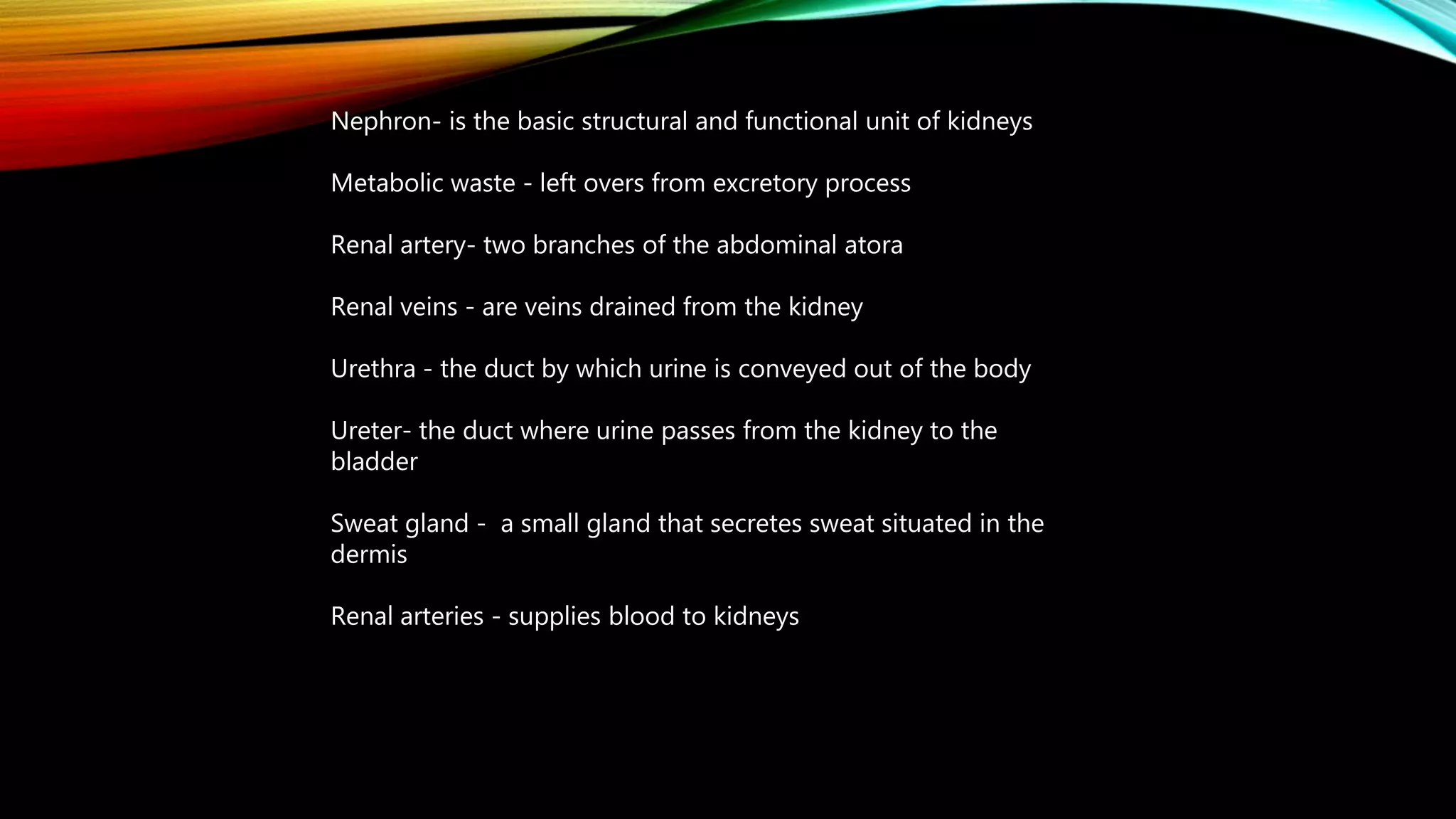 Human Body - Excretory System | PPT