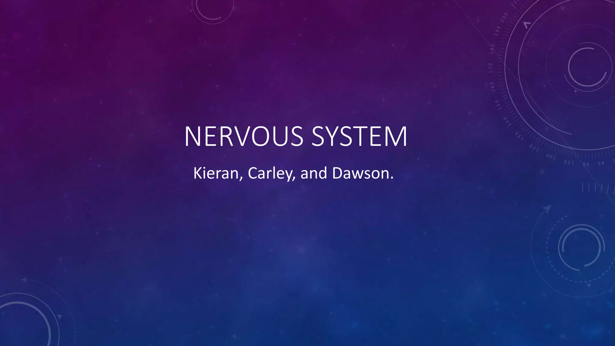 Human Body - Nervous System | PPT