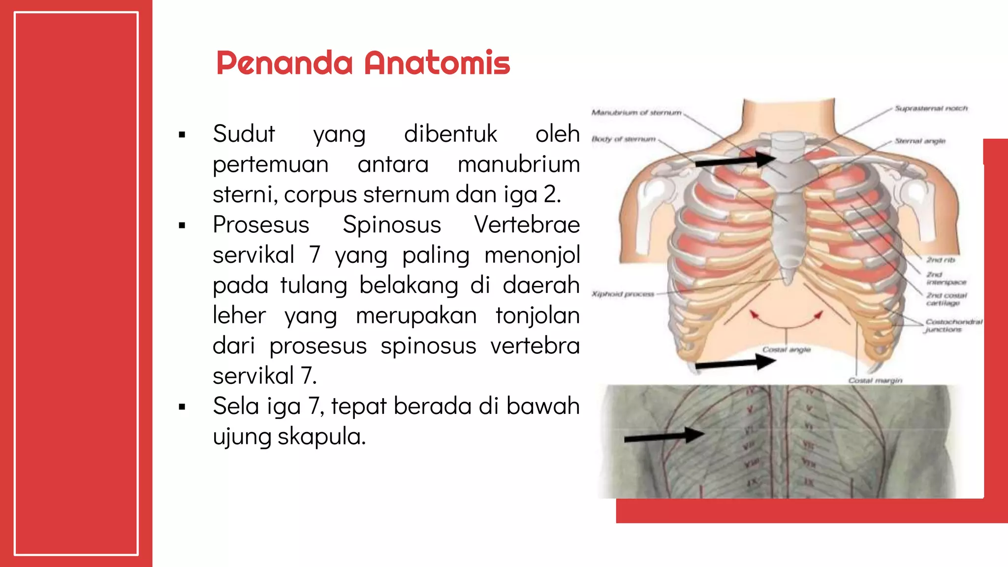 BST PEMFIS JANTUNG & PARU [REVISI].pptx