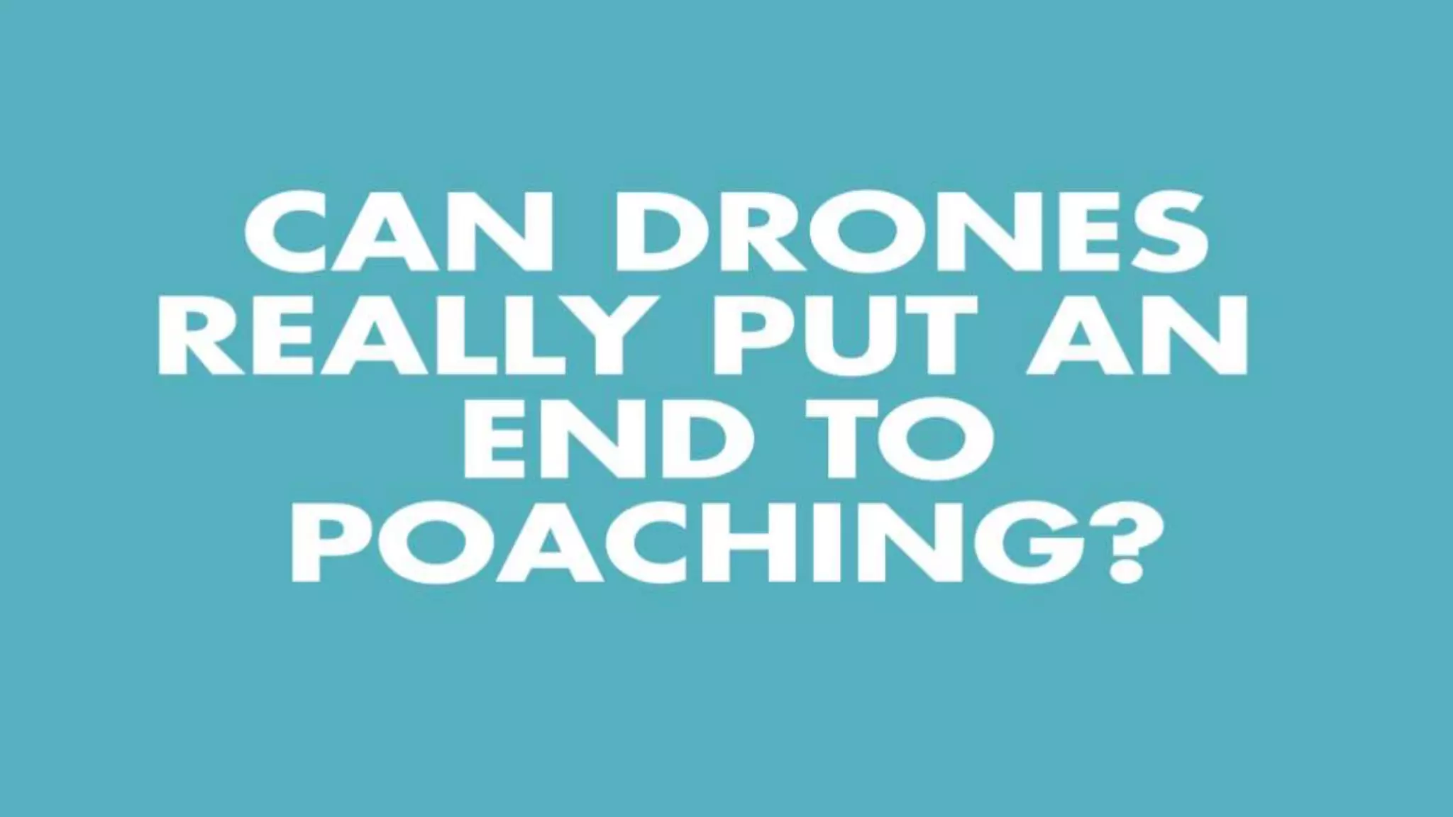 Can drones really put an end to poaching? | PPT