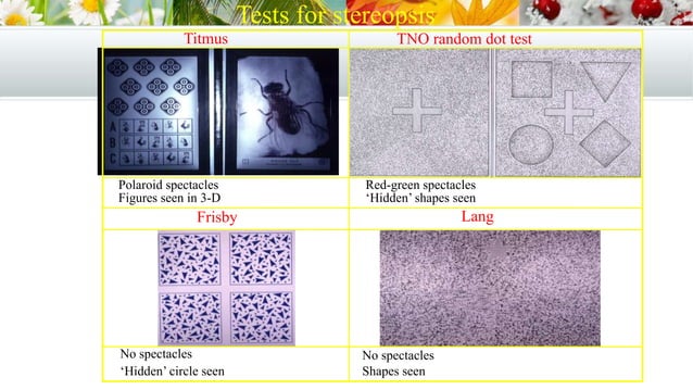 Binocular Single Vision Tests | PPTX