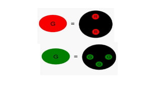 Binocular Single Vision Tests | PPTX