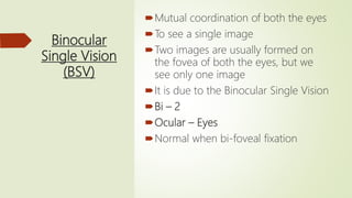 Binocular Single Vision.pptx