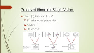 Binocular Single Vision.pptx