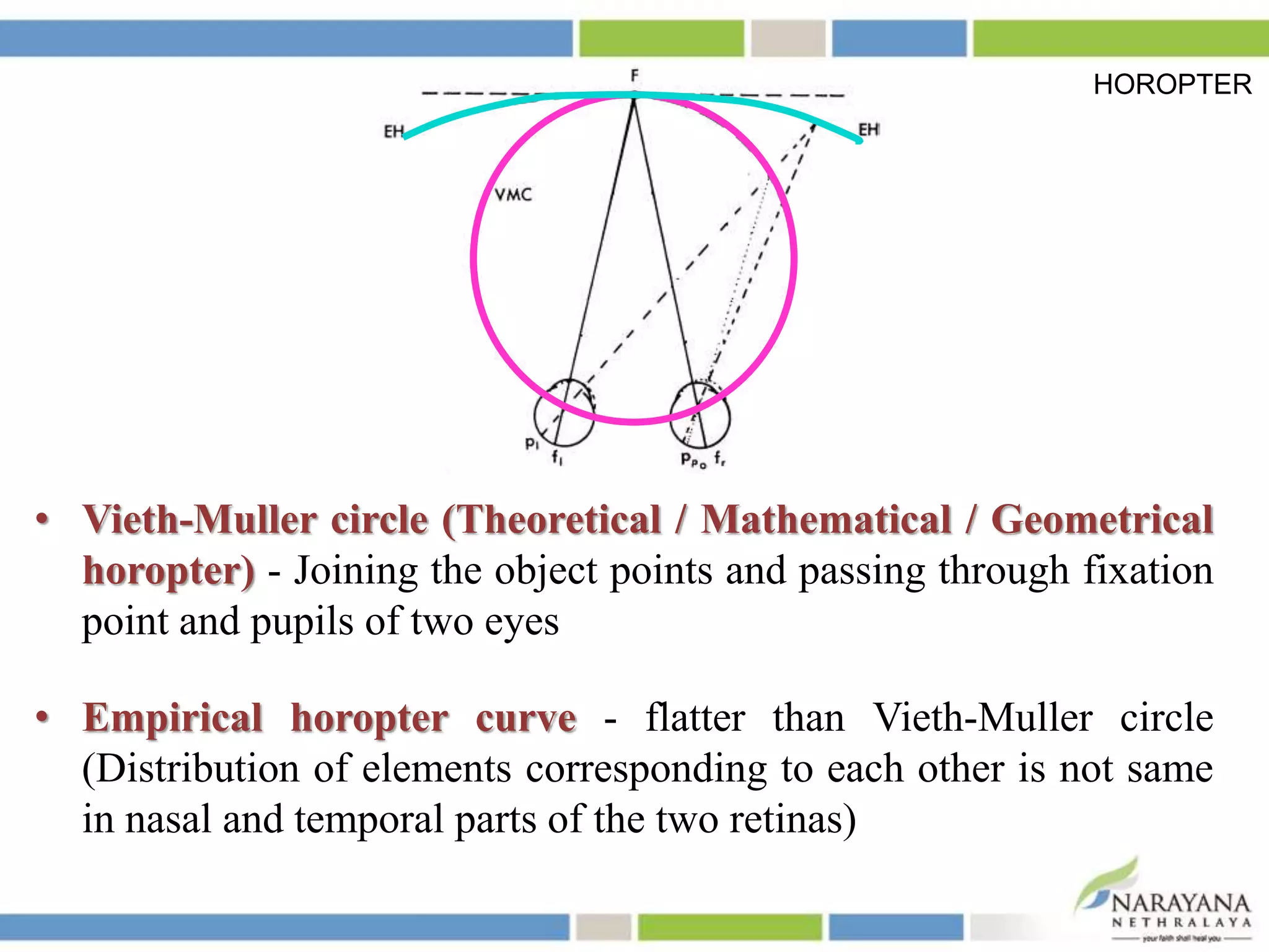 Binocular vision | PPTX